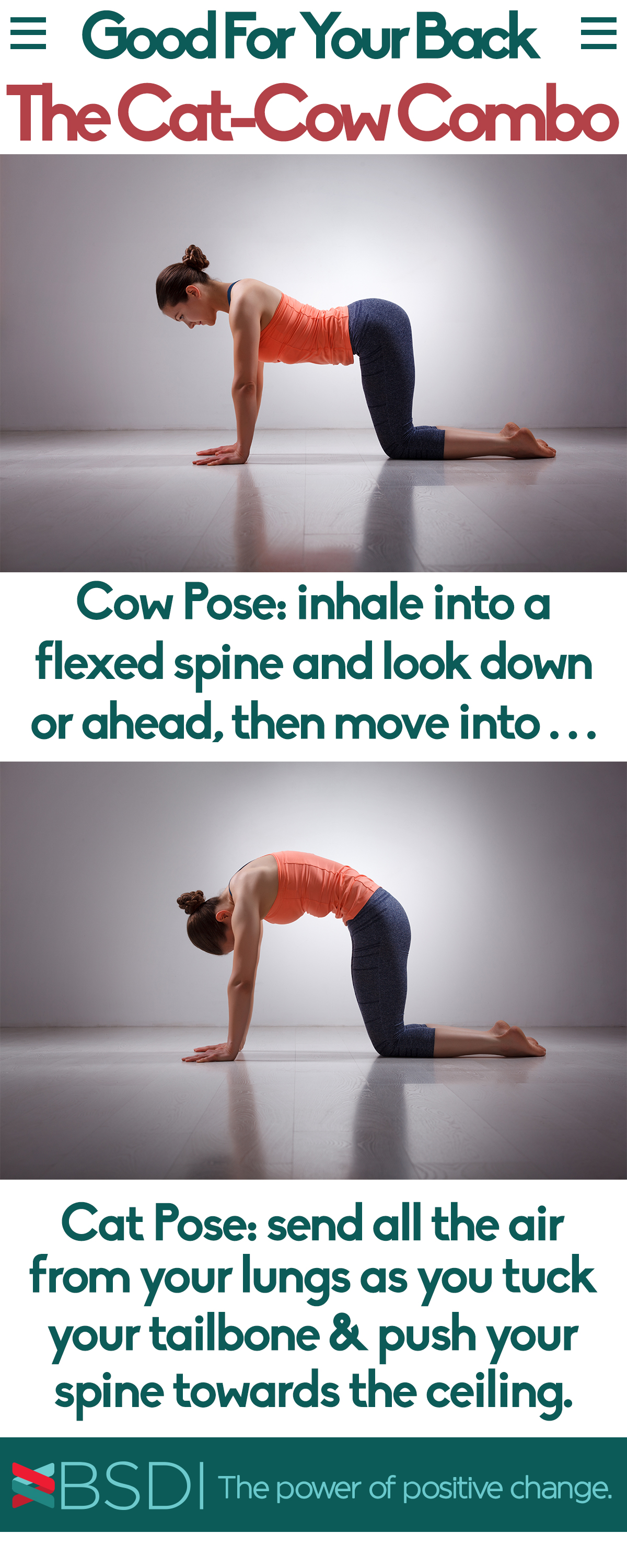 Good For Your Back: The Cat-Cow Combo - Welcome to Motivation Alliance!